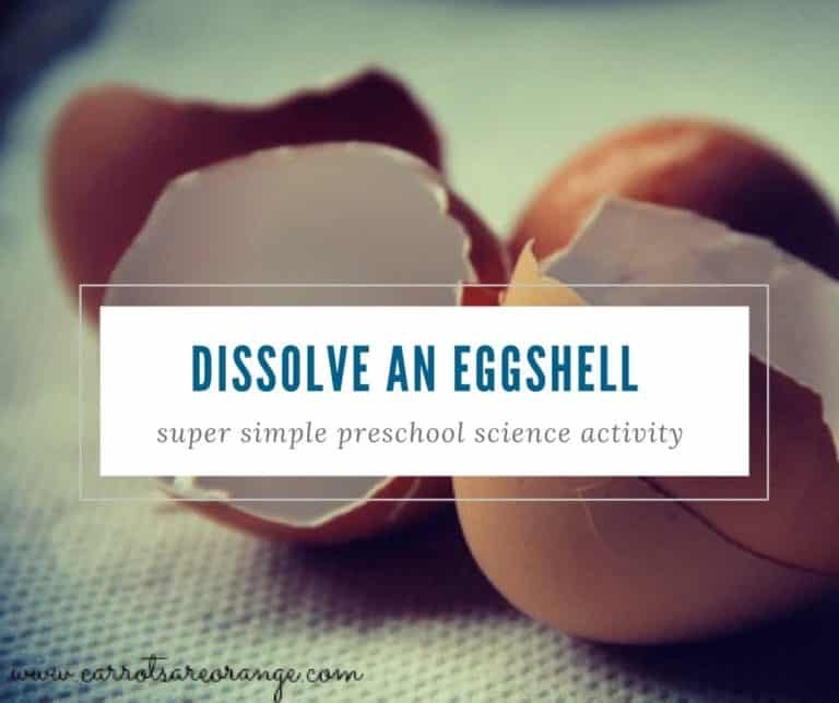 Easy Preschool Science: Dissolve an Eggshell & Wow Your Kids