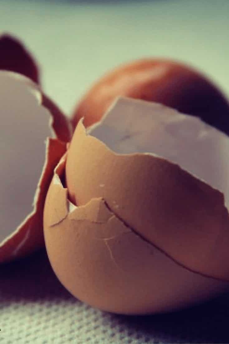 Easy Preschool Science: Dissolve an Eggshell & Wow Your Kids