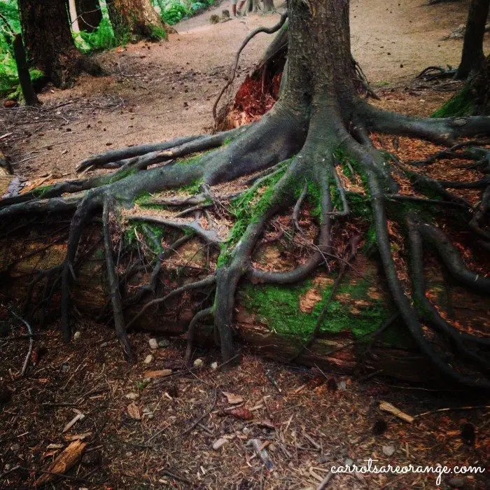 Simple Toys for Kids