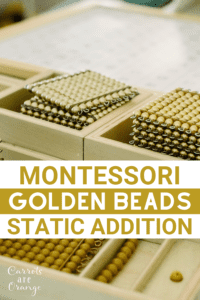 Learn the Montessori Math Golden Bead Static Addition Lesson