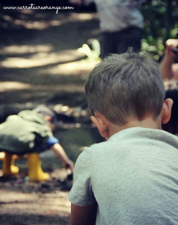 Activities For Early Childhood Outdoor Education