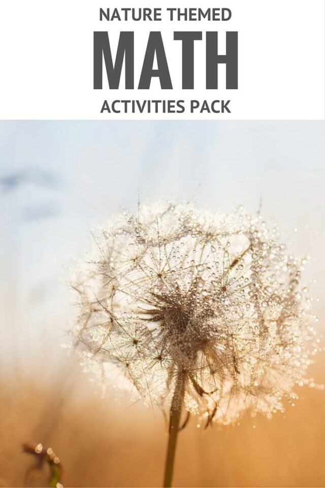 Nature Themed Math Activities Children Love
