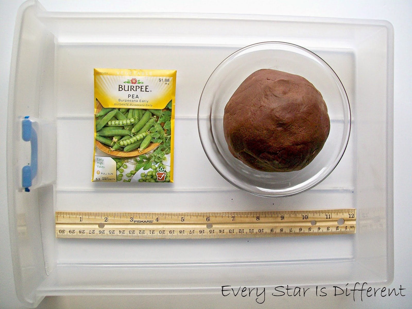 12 Unique & Creative Activities with Seeds