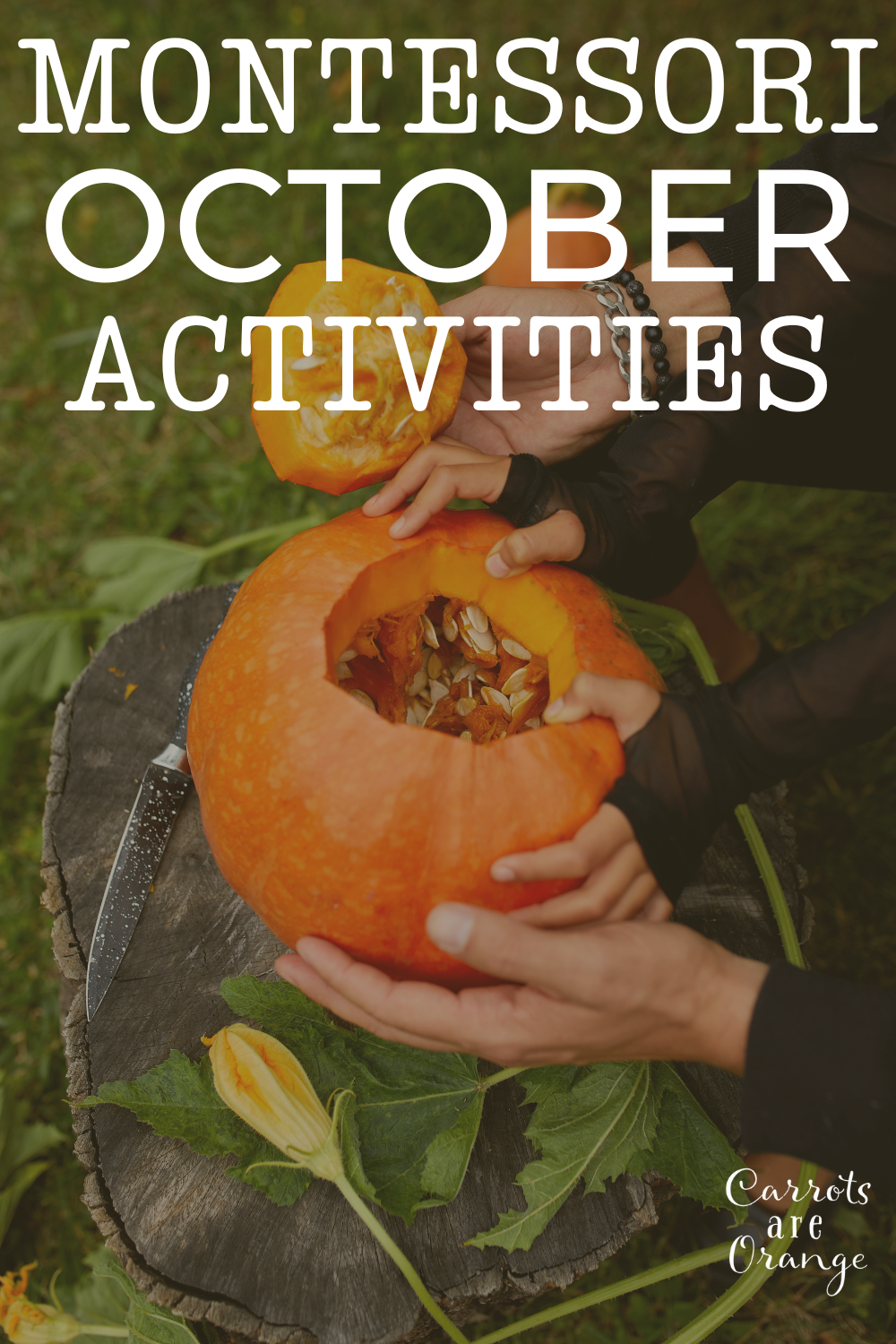 Actividades Montessori de octubre para niños en edad preescolar ...