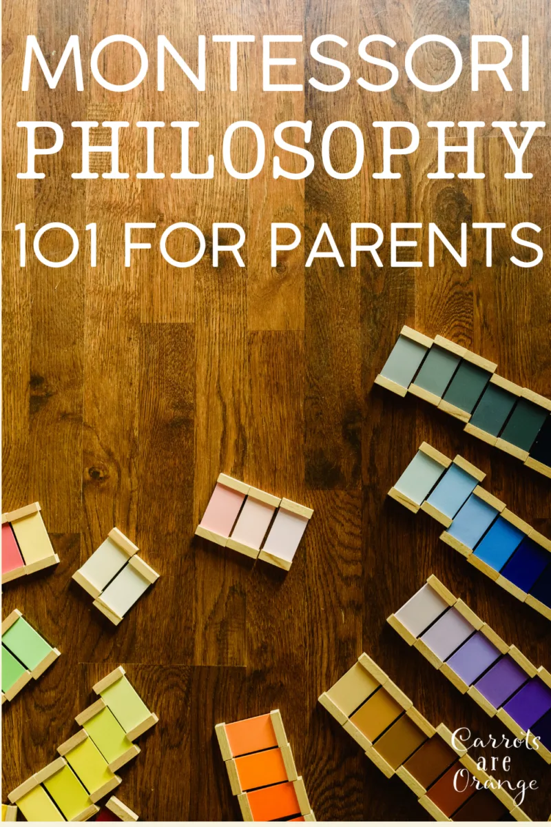 The Montessori Advantage: Shaping Strong Foundations for Childhood ...