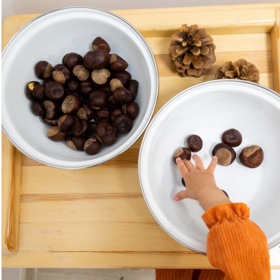 11 DIY Montessori Practical Life Ideas for Your Home & Classroom